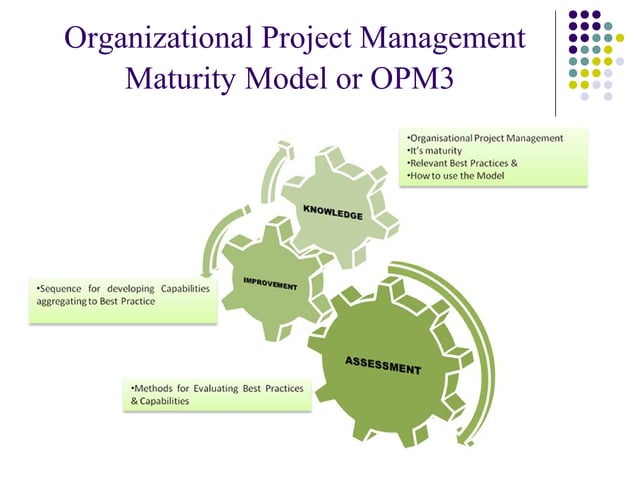 MODERN PROJECT MANAGEMENT SYSTEM MATURITY MODELS: THE ESSENCE AND ...