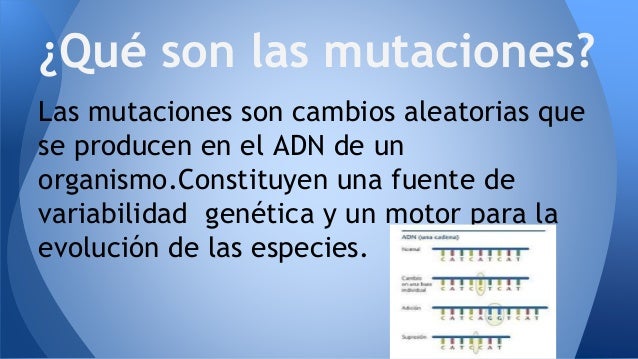 Las mutaciones