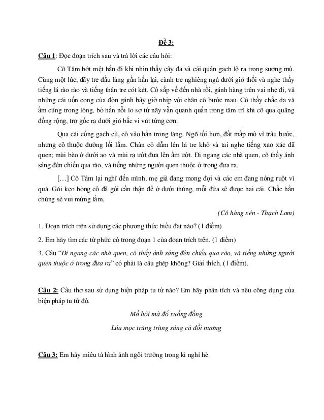 bo-de-on-tap-he-lop-6-mon-ngu-van.pdf