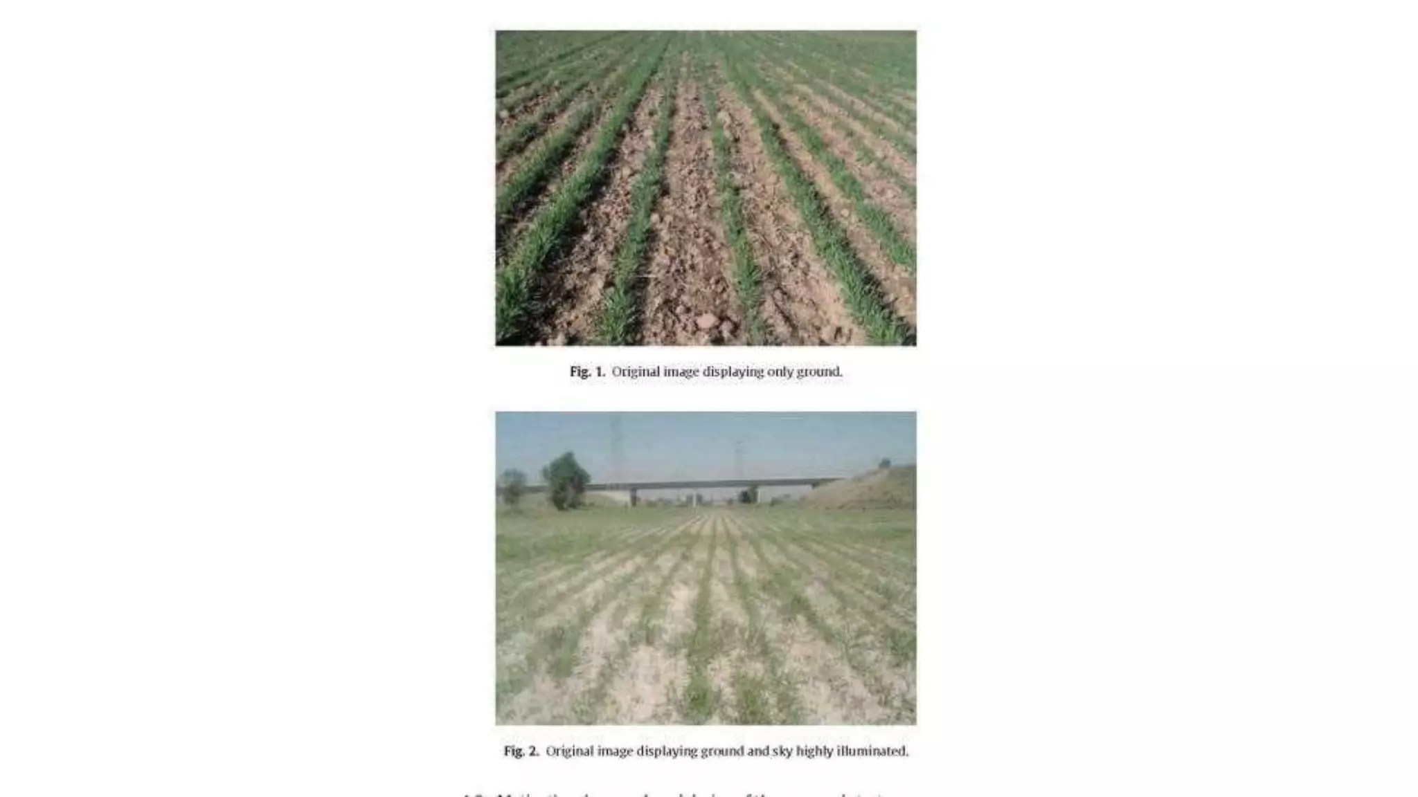 Row Detection and Soil Color for Agricultural Robot Guidance | PPT