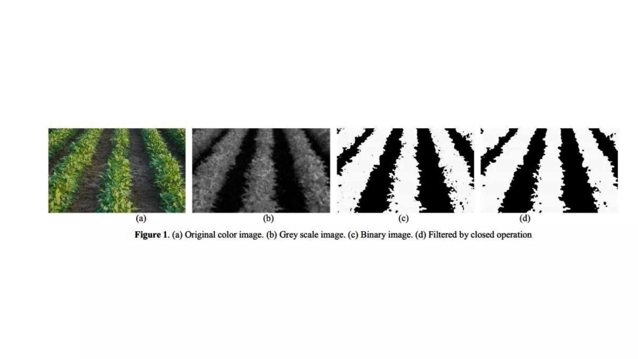 Row Detection and Soil Color for Agricultural Robot Guidance | PPT