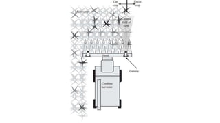 Row Detection and Soil Color for Agricultural Robot Guidance | PPT