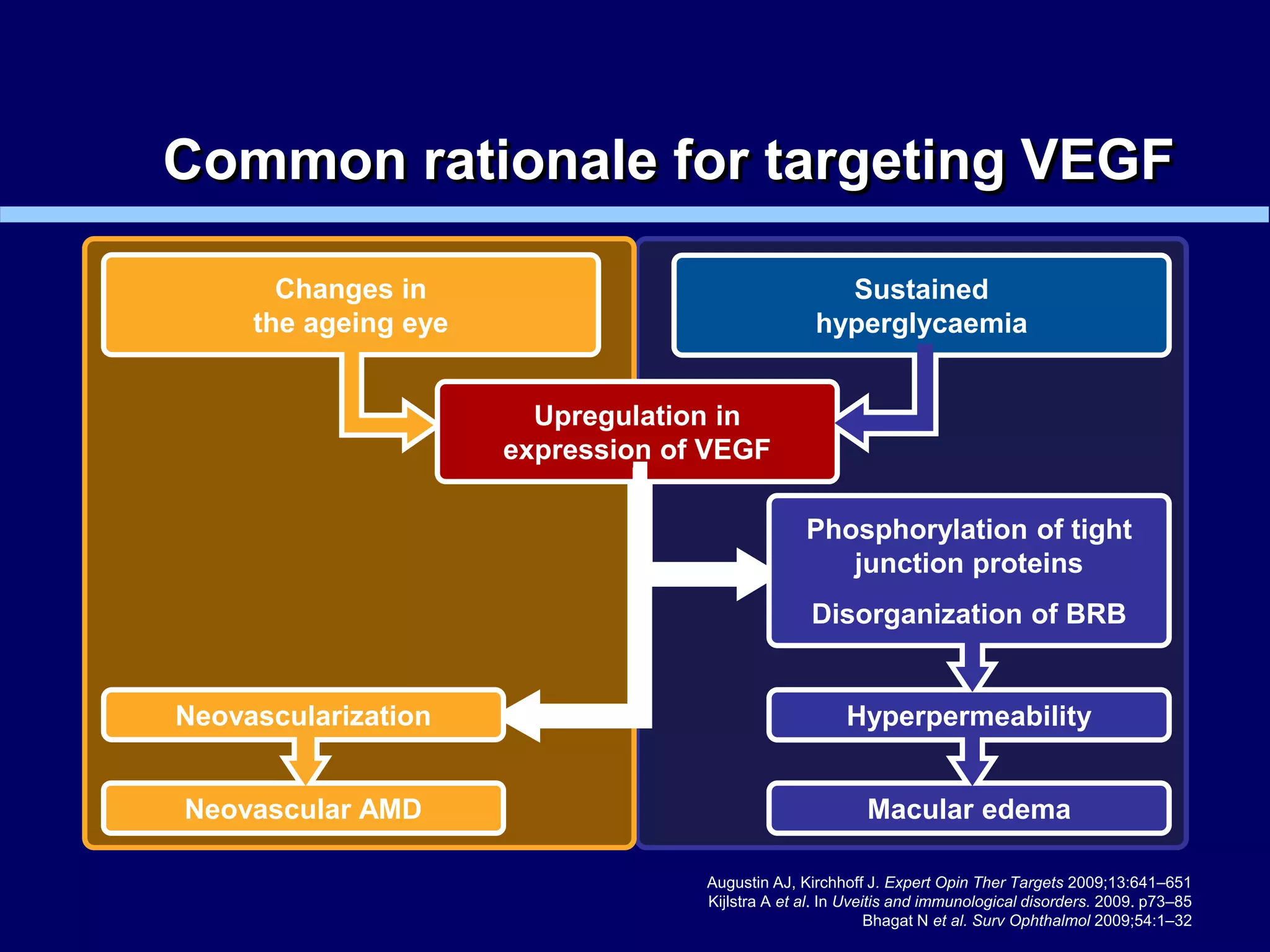 DME -DIABETIC MACULAR EDEMA - cases-DR AJAY DUDANI | PPT