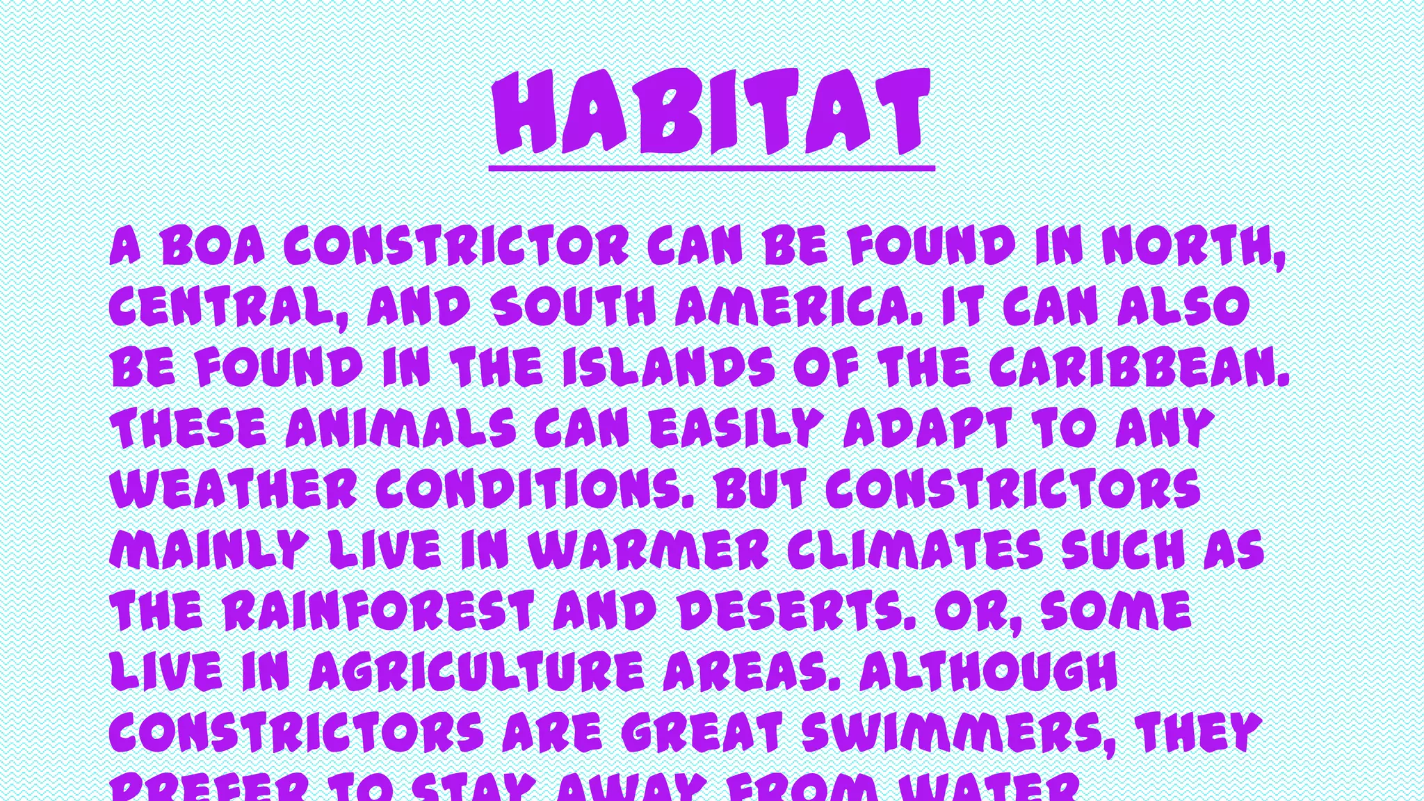 Boa constrictor classification project! | PPTX