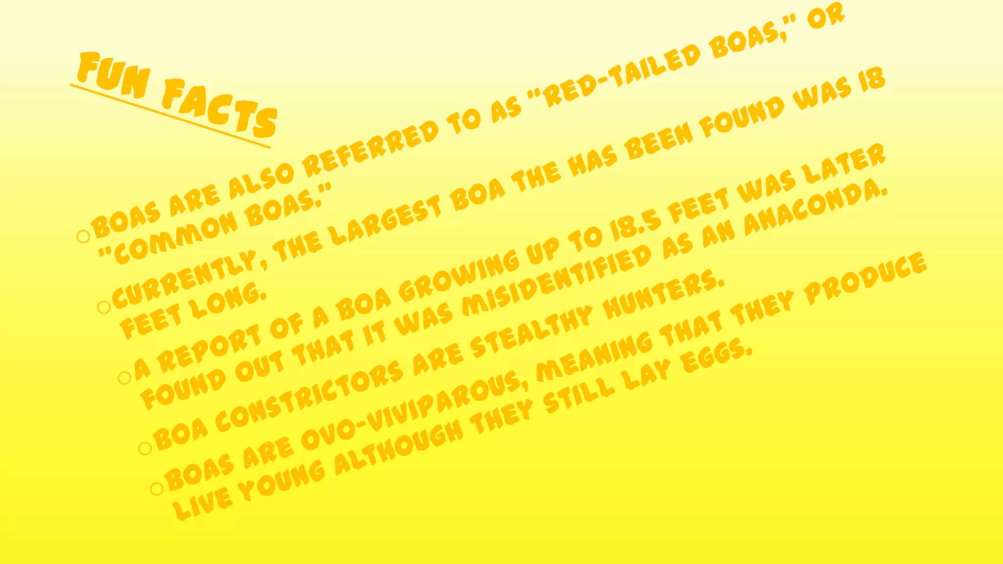 Boa constrictor classification project! | PPTX