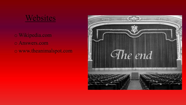 Boa constrictor classification project! | PPT