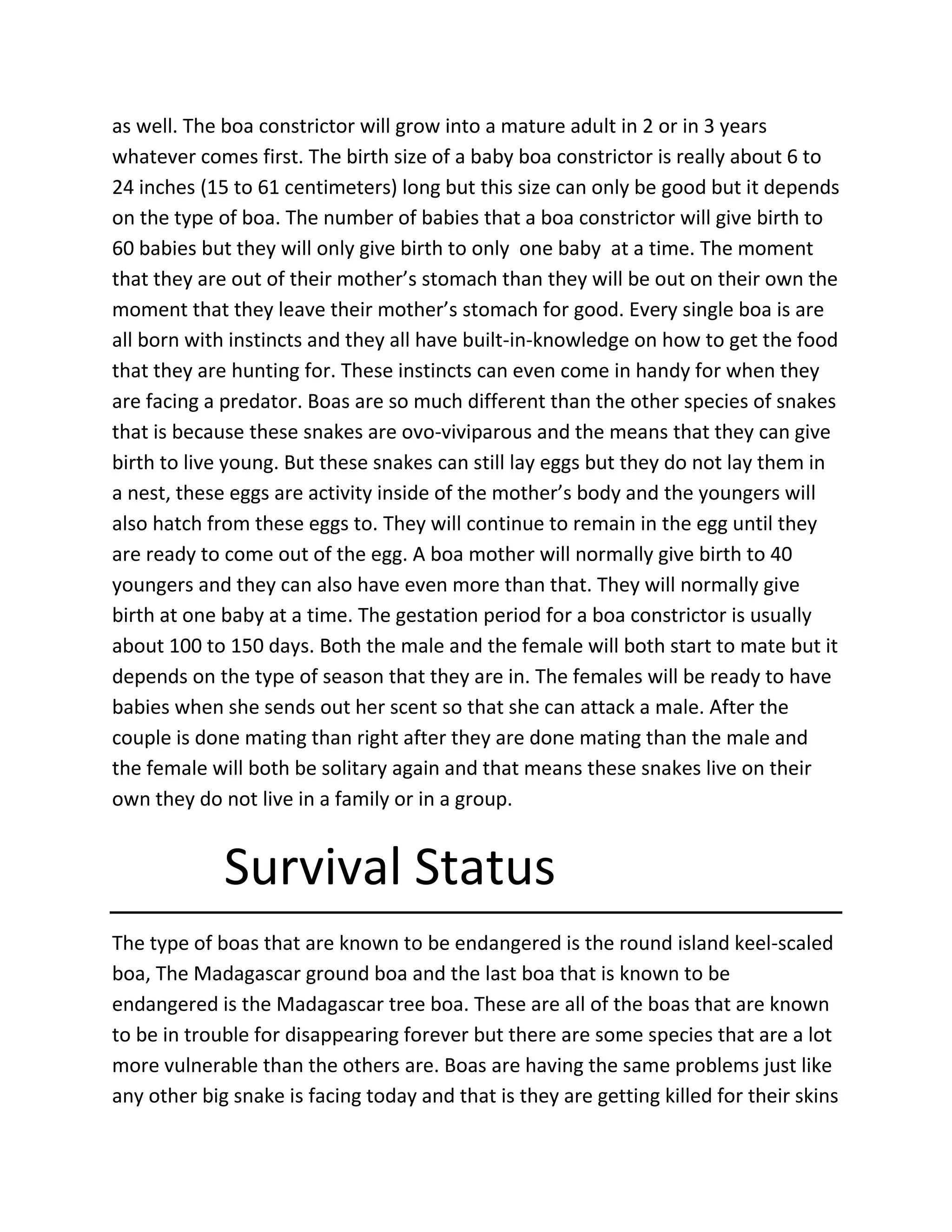 Boa constrictor report | DOCX