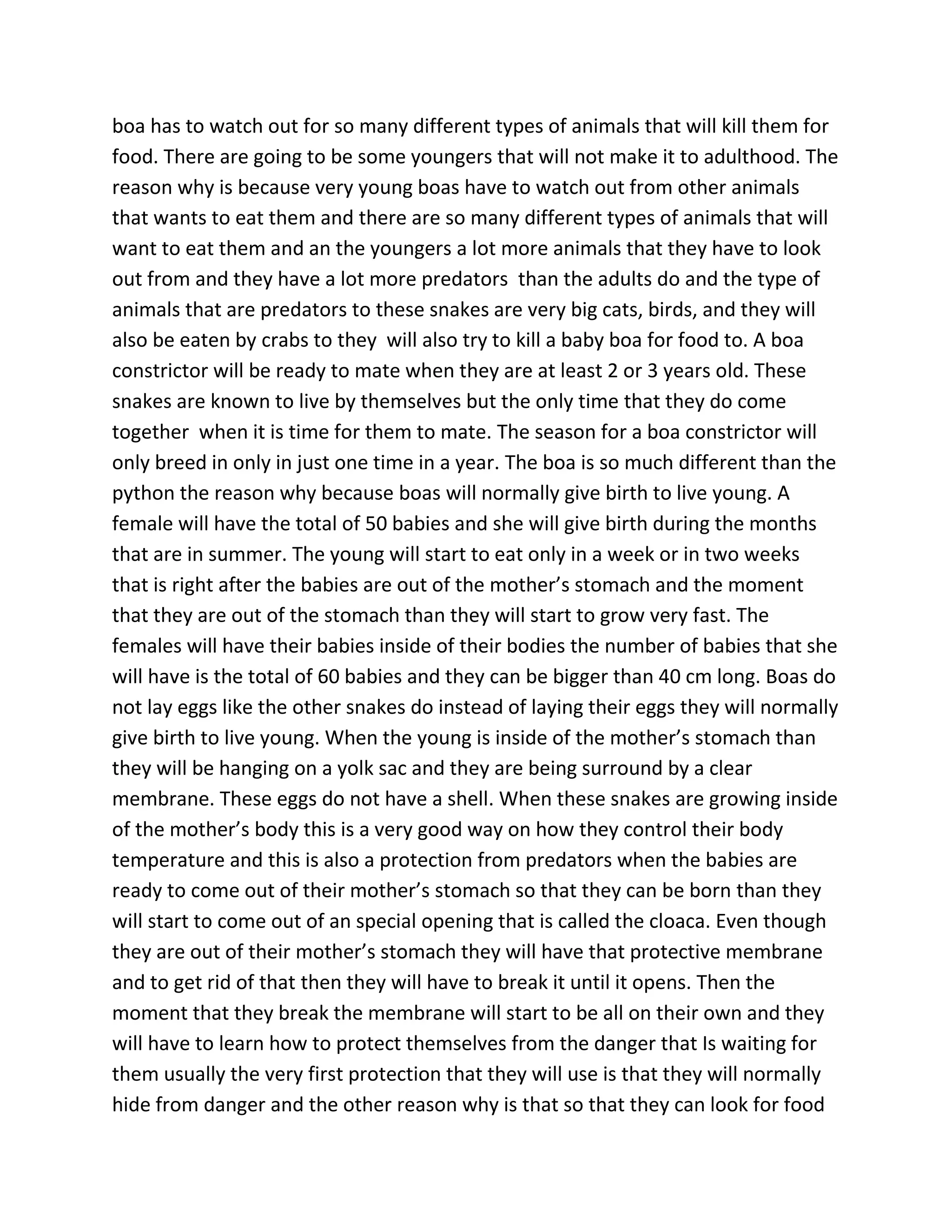 Boa constrictor report | DOCX