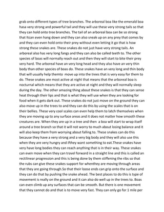 Boa constrictor report | DOCX