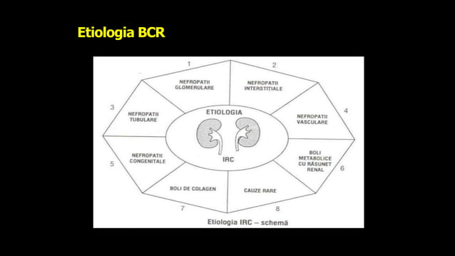 Boala Cronica Renala (BCR) (1).pptx