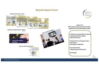 Sustainability Leadership with a Board View | PDF