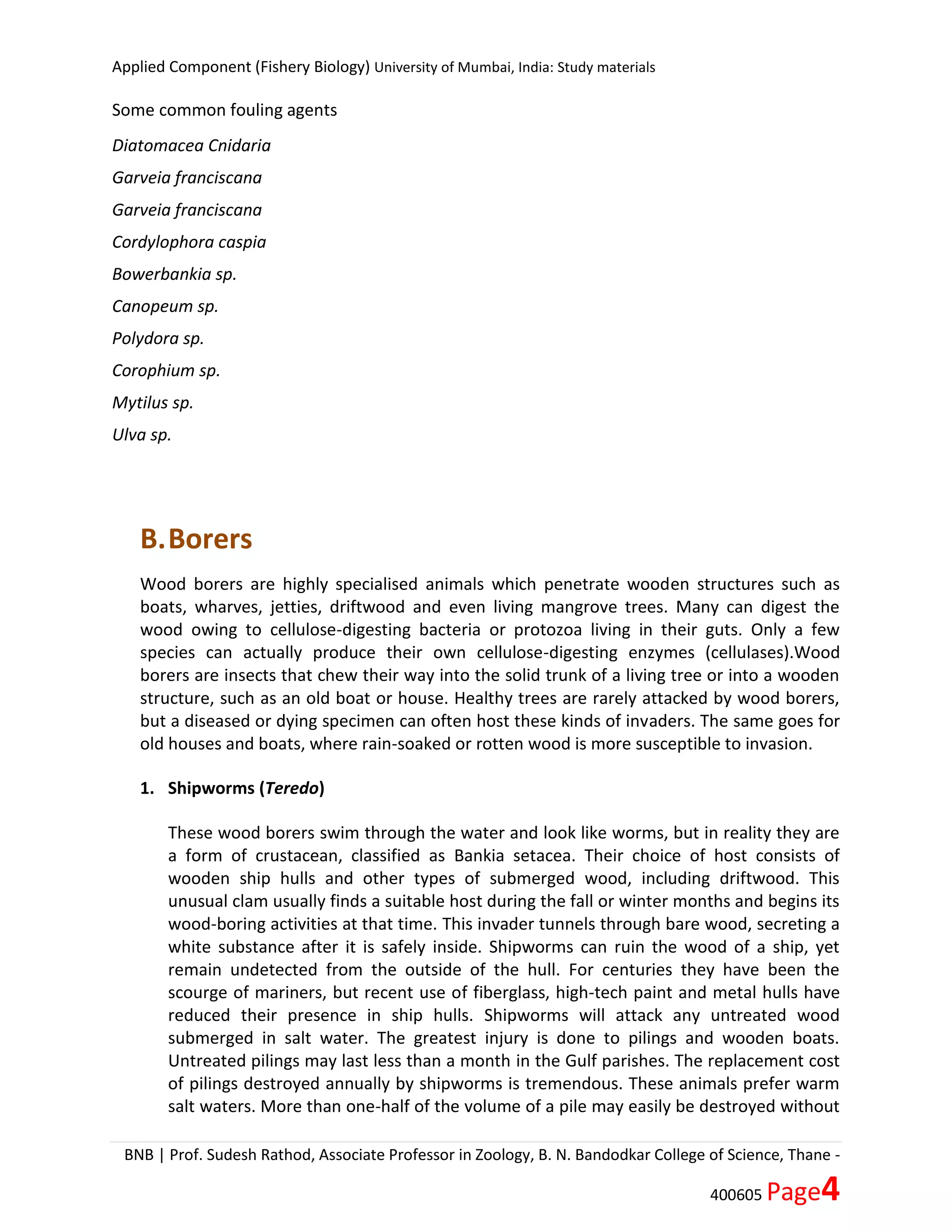 Boat foulers and borers: Fisheries Science | PDF