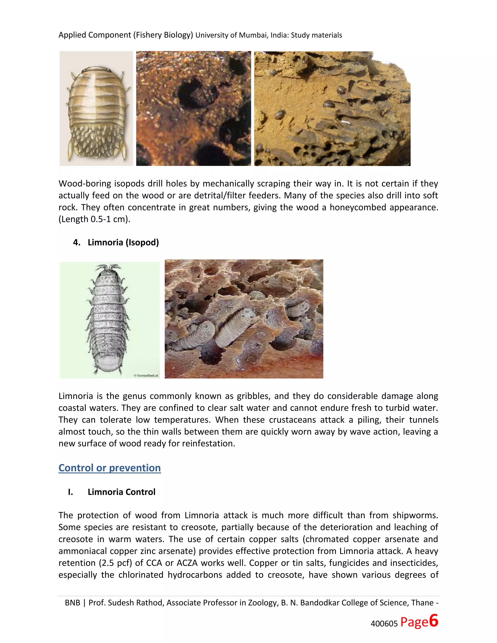 Boat foulers and borers: Fisheries Science | PDF