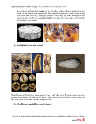 Boat foulers and borers: Fisheries Science | PDF