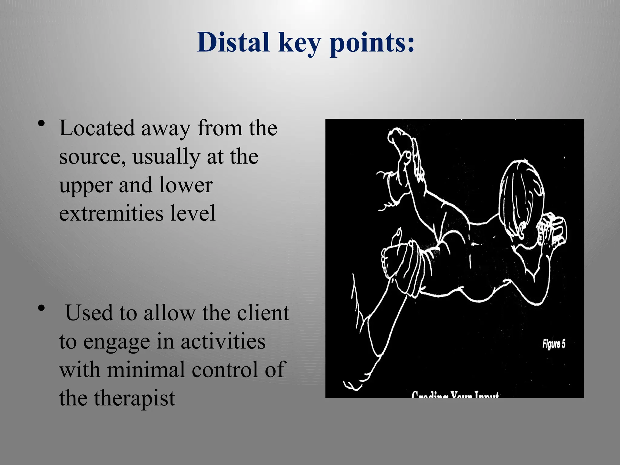 Bobath Approach in neurophysiotherapy,detail on bobath approach,note on ...
