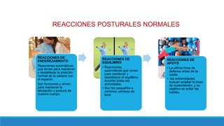 técnica de bobath y sus generalidades en el abordaje neurológico | PPTX