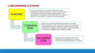técnica de bobath y sus generalidades en el abordaje neurológico | PPTX