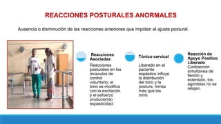 técnica de bobath y sus generalidades en el abordaje neurológico | PPTX