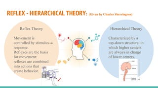 BOBATH_THERAPY_HIMANIKAUSHIK.pptx