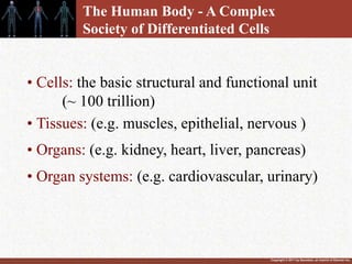 Physiology- Generalities | PPT