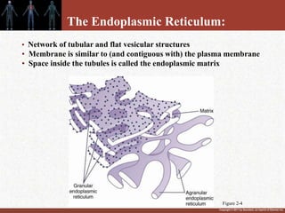 Bobby chapter 002 | PPT
