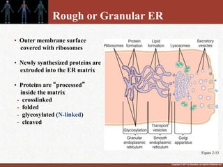 Bobby chapter 002 | PPT