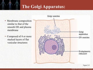 Bobby chapter 002 | PPT