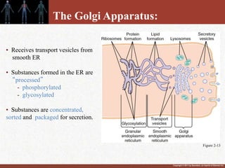 Bobby chapter 002 | PPT