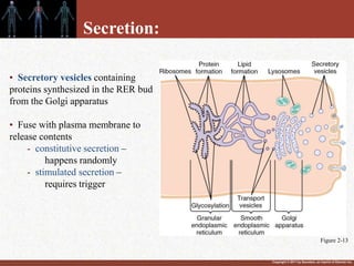 Bobby chapter 002 | PPT