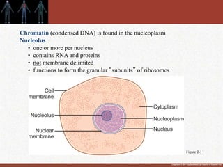 Bobby chapter 002 | PPT