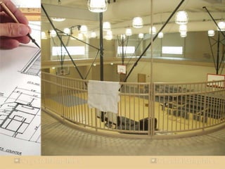 Bobby miller activity center | PPT