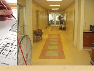 Bobby miller activity center | PPT