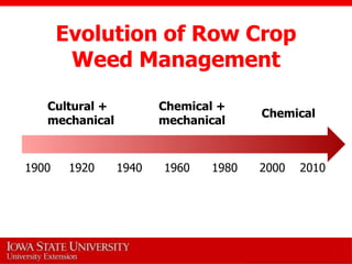 Crop Management - Dr. Robert G. Hartzler, Iowa State University ...
