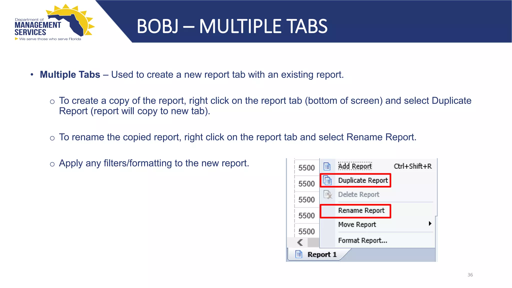 BOBJ Adhoc Reporting.pptx