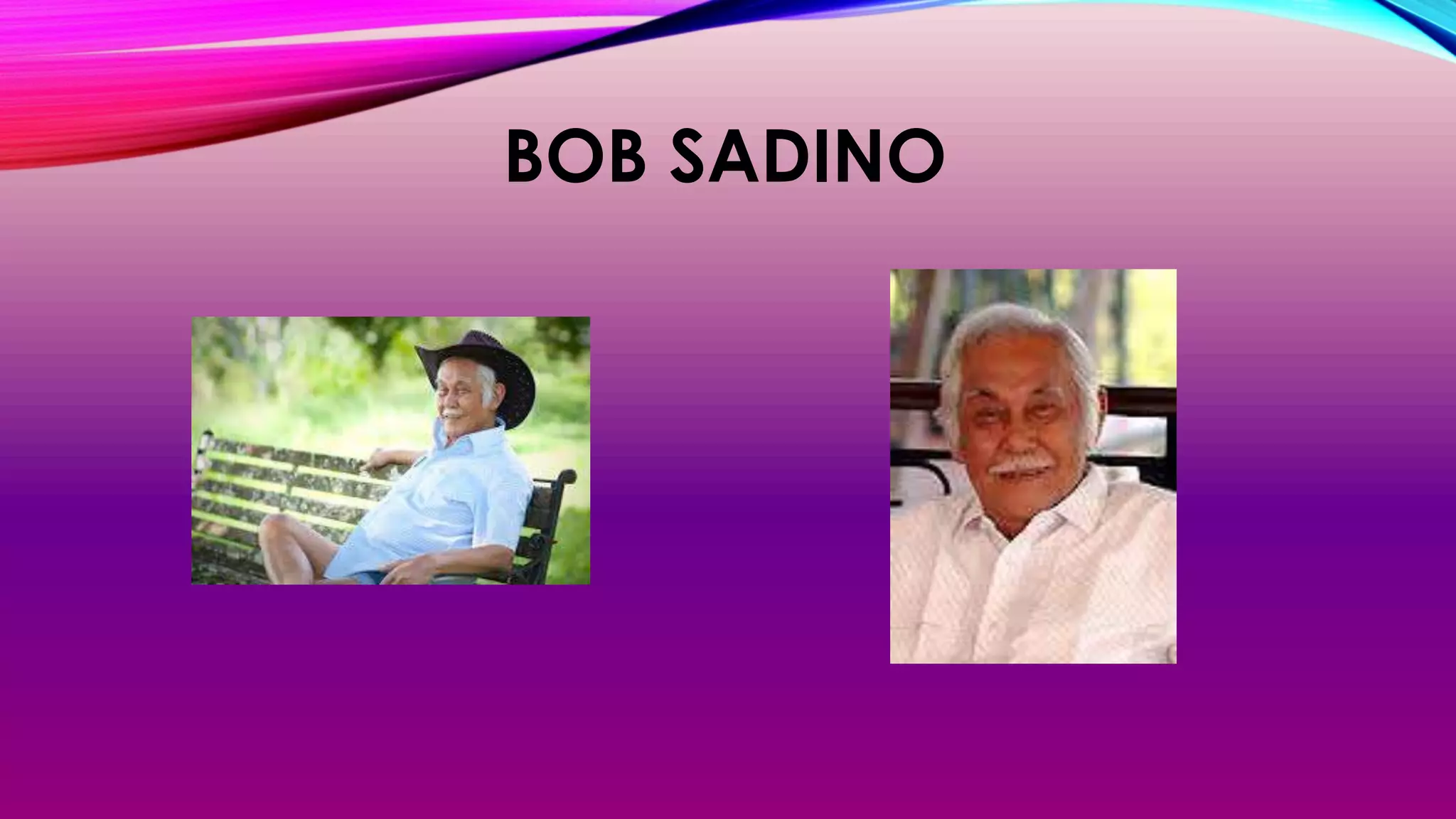 Bob sadino | PPT