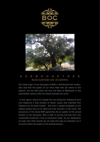 BOC The original Arbequina Olive Oil | PDF | Agriculture | Industries