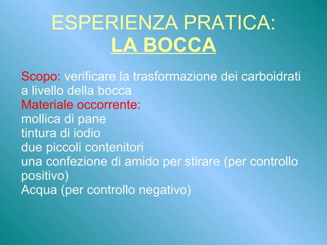 Bocca Esperimento | PPT