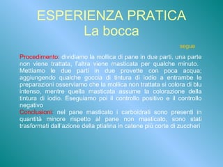 Bocca Esperimento | PPT