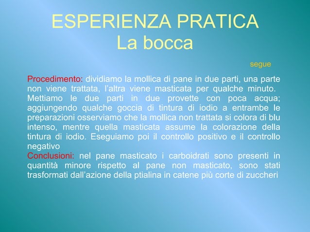 Bocca Esperimento | PPT