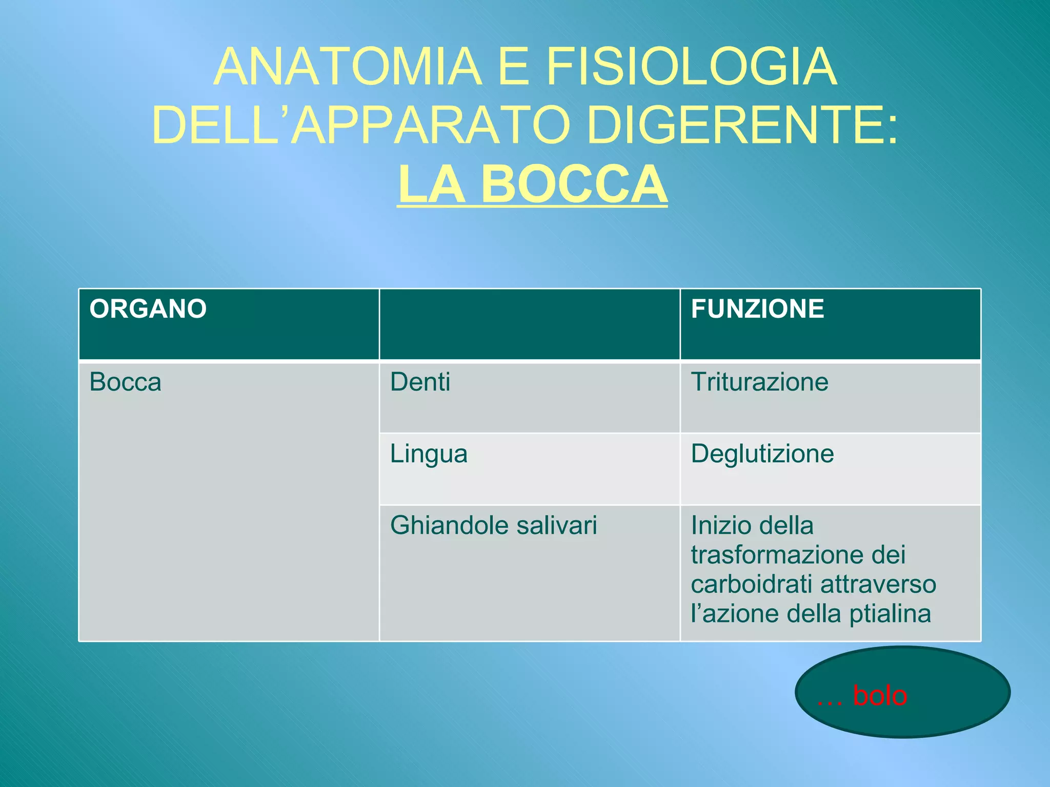 Bocca Fisio | PPT