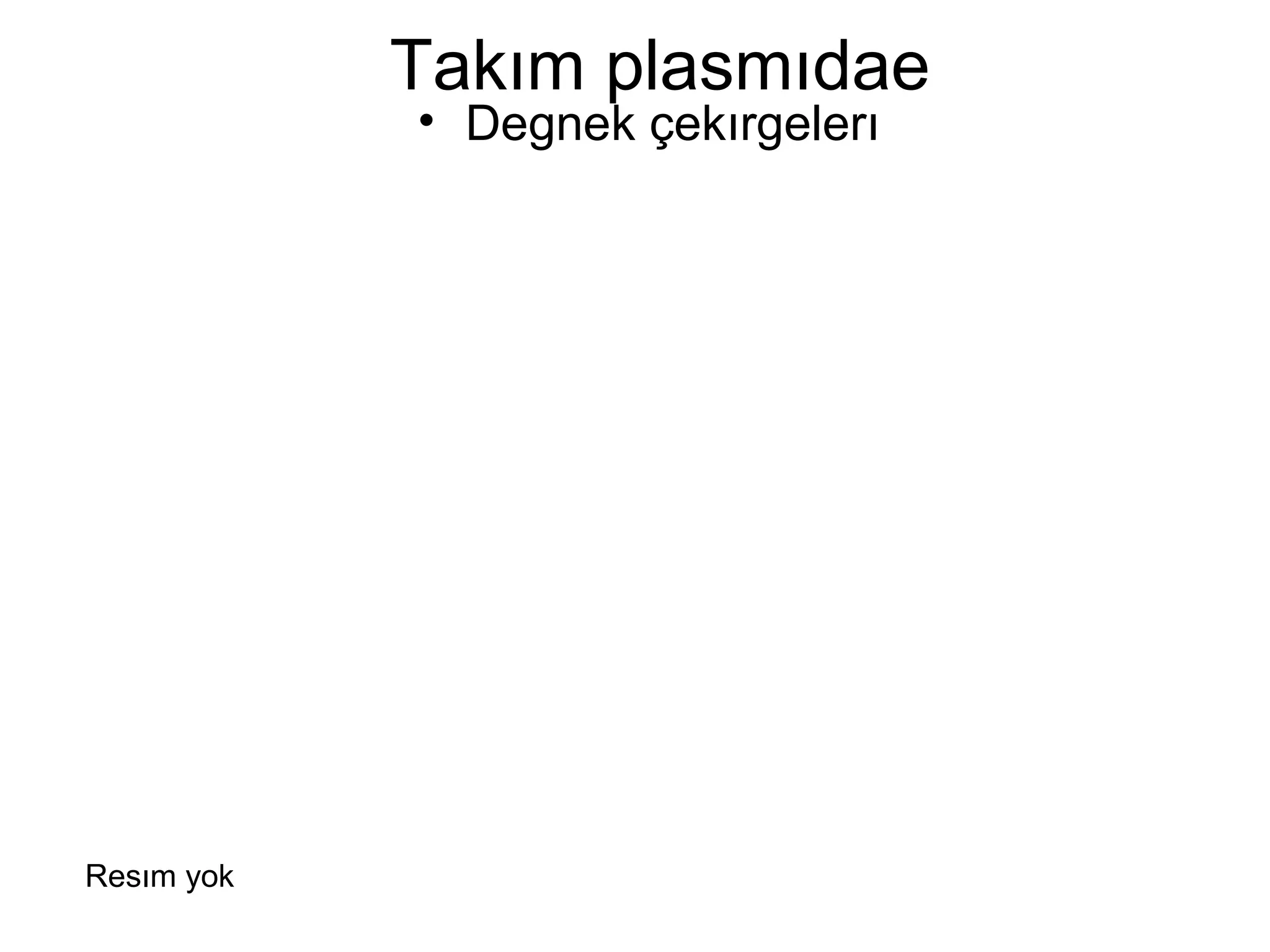 Bocek sistematik | PPT