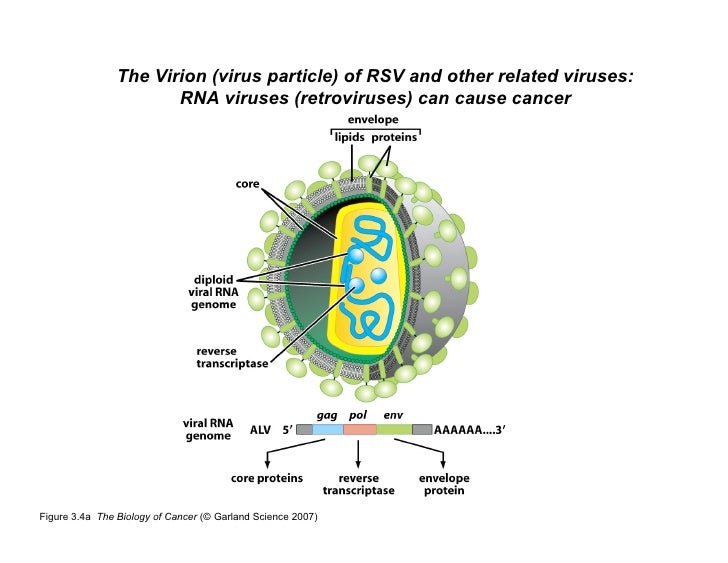 Viruses Free Fulltext Genetic Resistance To Avian Leukosis Viruses