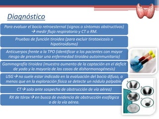 Bocio Ana M. Ibargüen | PPTX