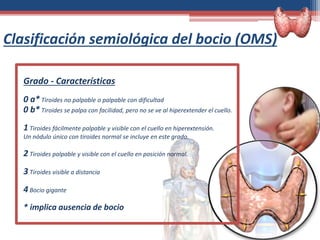 Bocio Ana M. Ibargüen | PPTX