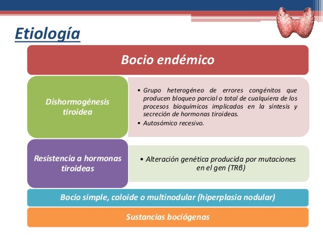 Bocio Ana M. Ibargüen