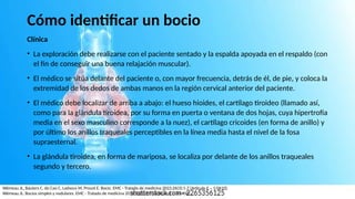 BOCIO Y NODULOS TIROIDEOS. Endocrinologia.pptx