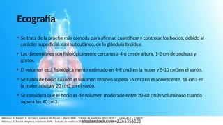 BOCIO Y NODULOS TIROIDEOS. Endocrinologia.pptx