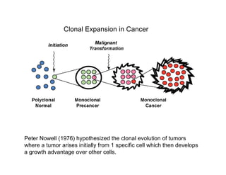 Boc Lecture 3 the multistep nature of cancer, Karobi Moitra | PDF