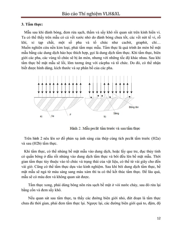 Báo cáo thí nghiệm Vật liệu học | PDF