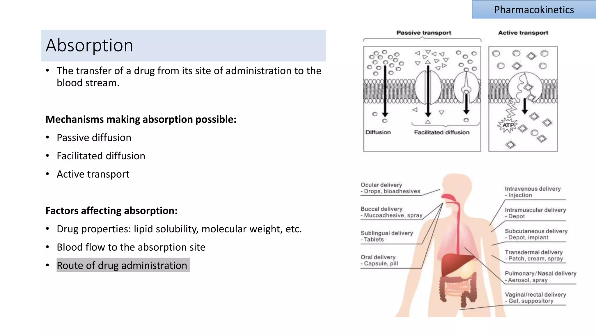 Pharmacokinetics & Pharmacodynamics.pptx